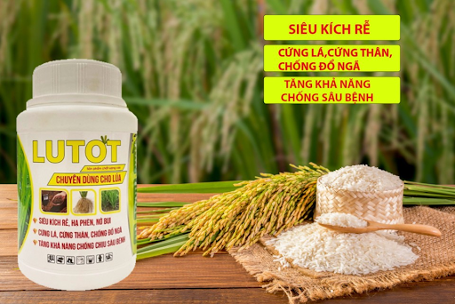 LUTOT - Công Nghệ Phân Bón Đổi Mới Cho Nông Nghiệp Việt